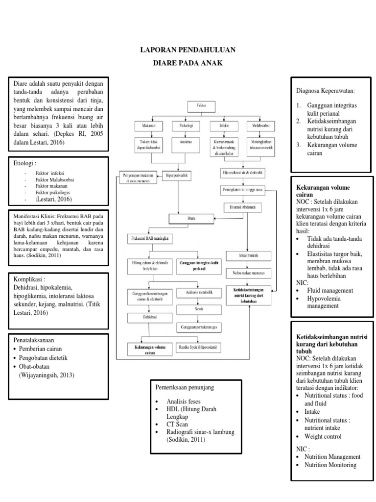 LP Diare Mapping | PDF