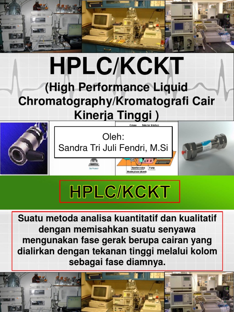 Panduan Lengkap HPLC/KCKT | PDF