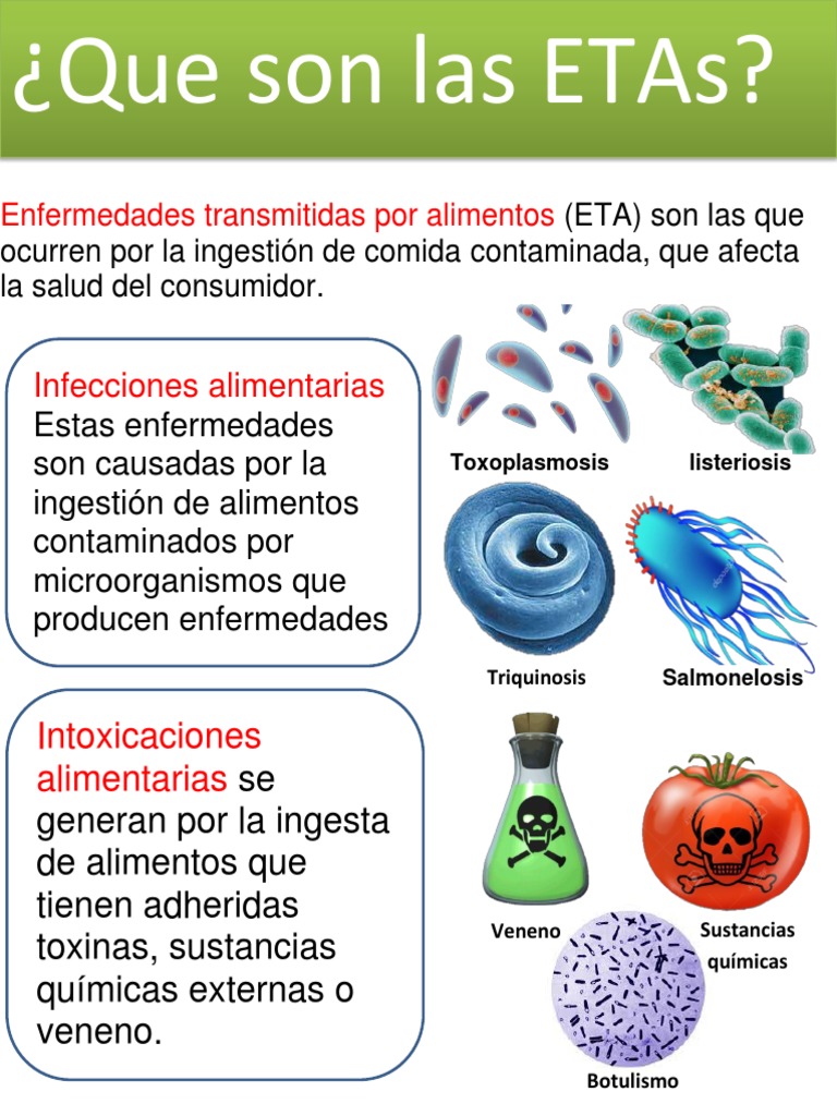 Prevención de Enfermedades Transmitidas por Alimentos | PDF | Alimentos ...
