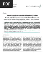 SEM Techniques for Bacterial Visualization | PDF | Scanning Electron ...