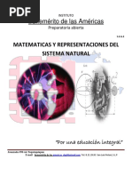 Modulo 21 Impacto | PDF