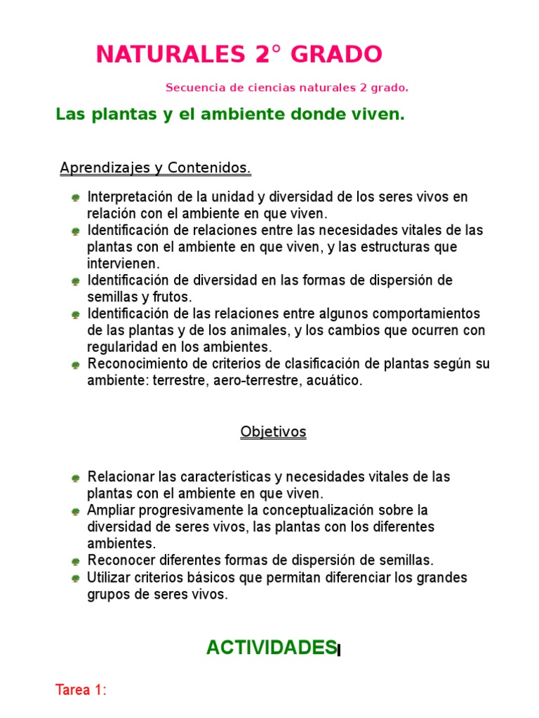 SEC. Ciencias Naturales Plantas | PDF | Plantas | Semilla