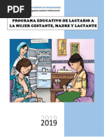 Instructivo Adecuacion Salas Lmaterna Sprivado | PDF | Amamantamiento ...