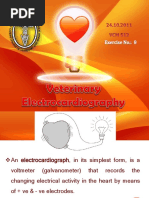 Small Animal Cardiology Auscultation - Vet Visions | PDF | Heart ...