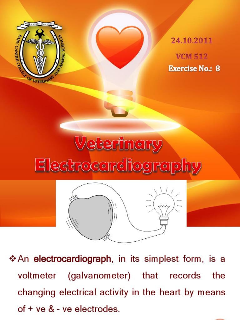 Veterinary ECG Guide & Arrhythmia Analysis | PDF | Electrocardiography ...