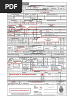 Formato His en Blanco | PDF | Cuidado de la salud | Medicina