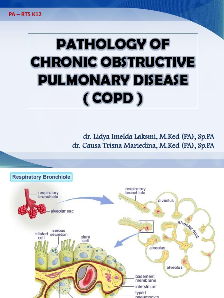 COPD Pathology: Overview and Mechanisms | PDF | Chronic Obstructive ...