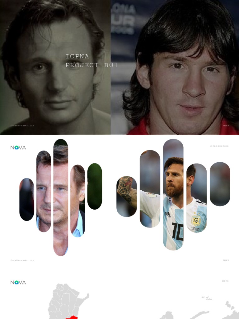 Icpna Project B01 | PDF