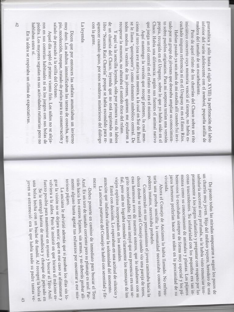 Leyendas Charruas - El Tero Azul | PDF