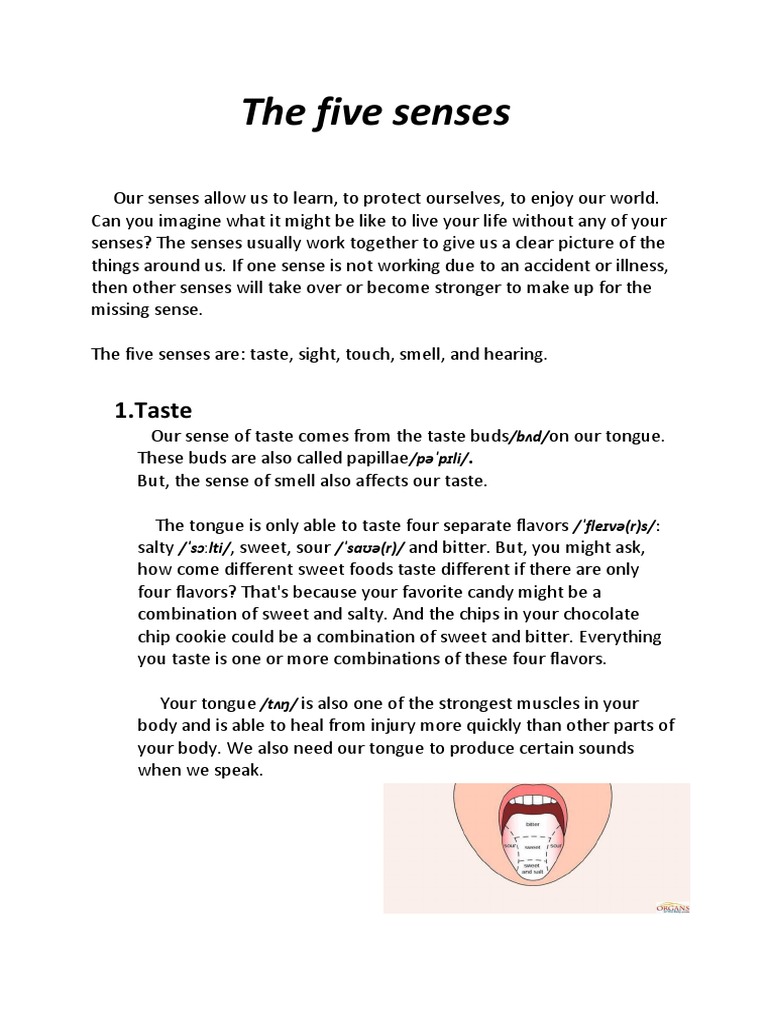 The Five Senses | PDF | Taste | Senses