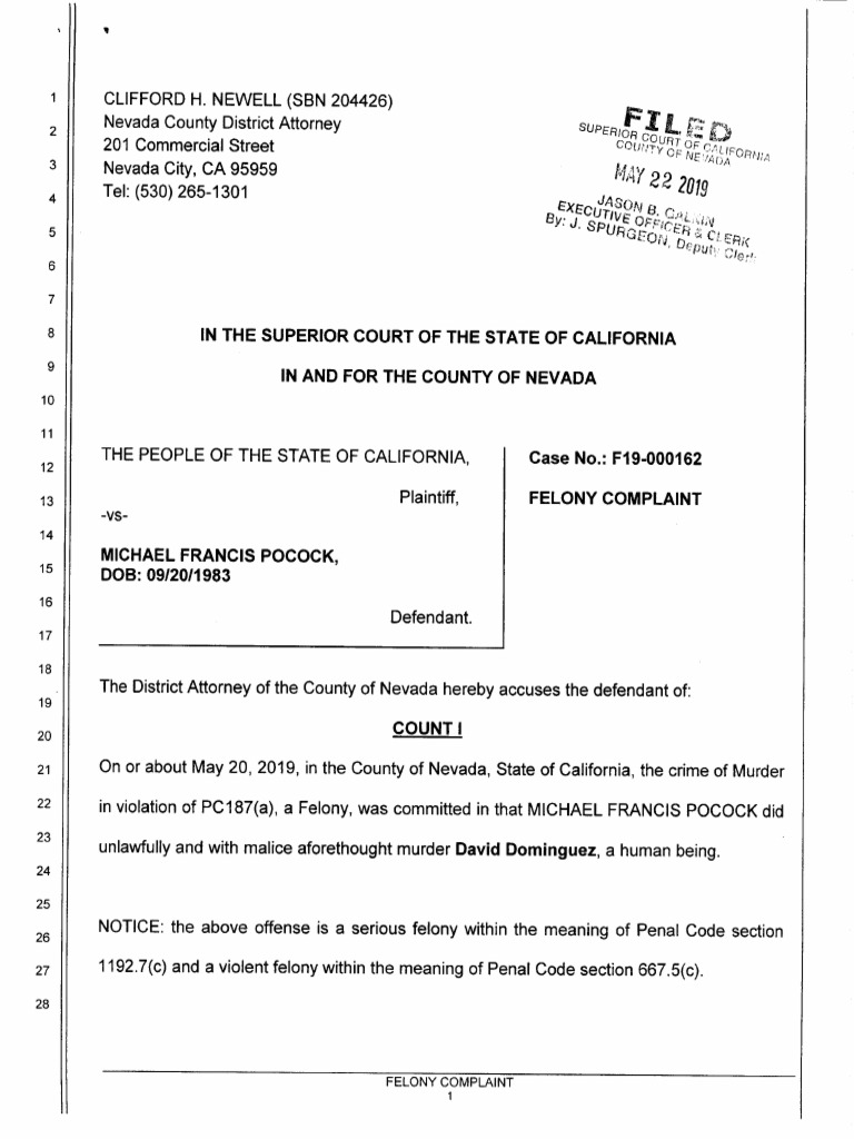 Felony Complaint Against Michael Francis Pocock | PDF