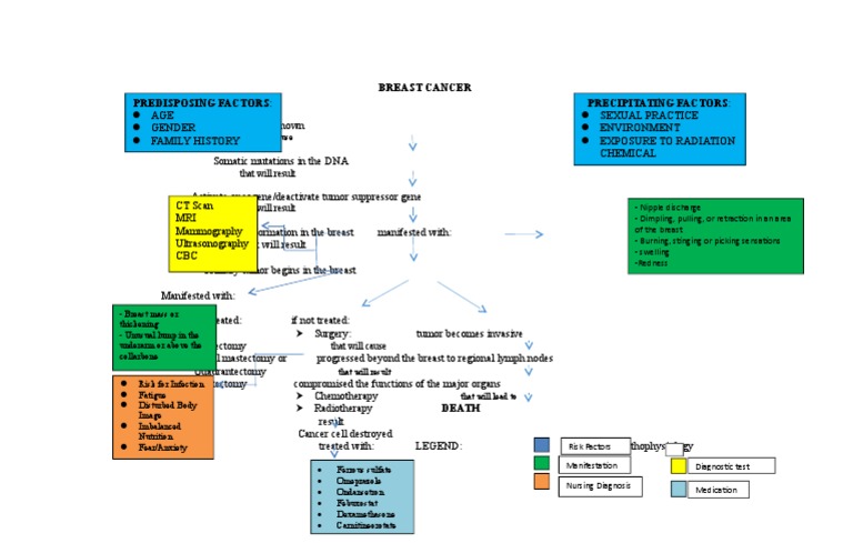 Breast CA Concept Map | Breast Cancer | Neoplasms