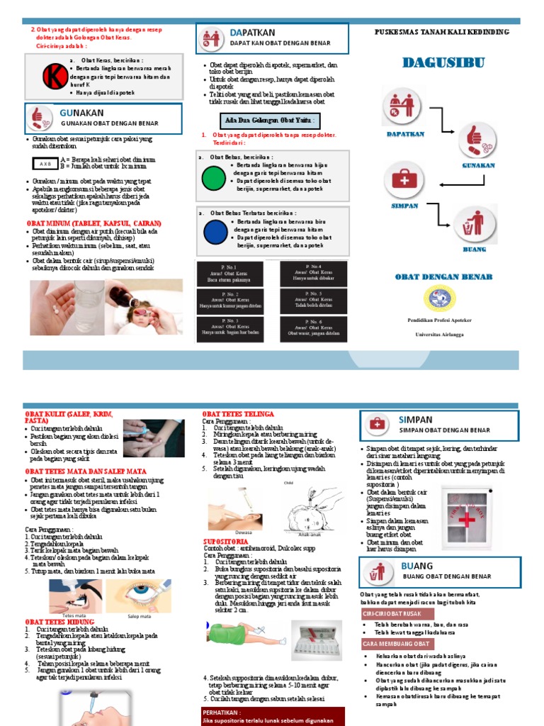 Panduan Penggunaan Obat Dagusibu | PDF