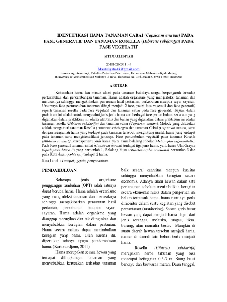 Bab Hama Pada Tanaman Rosella (Hibiscus Sabdariffa) Dan Tanaman Cabai ...