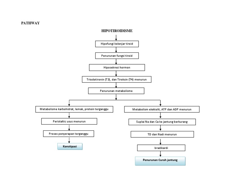 Pathway Hipotiroidisme dan Dampaknya | PDF