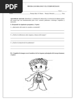 Prueba Cuerpo Humano 2° Básico | PDF | Pulmón | Corazón