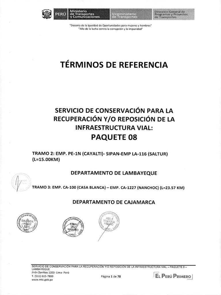 TDR - Servicio Pqte. 8c | PDF