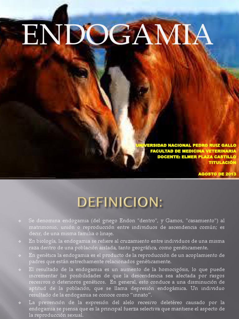 La endogamia en los caballos pura sangre y sus consecuencias genéticas | PDF | Endogamia | Genética