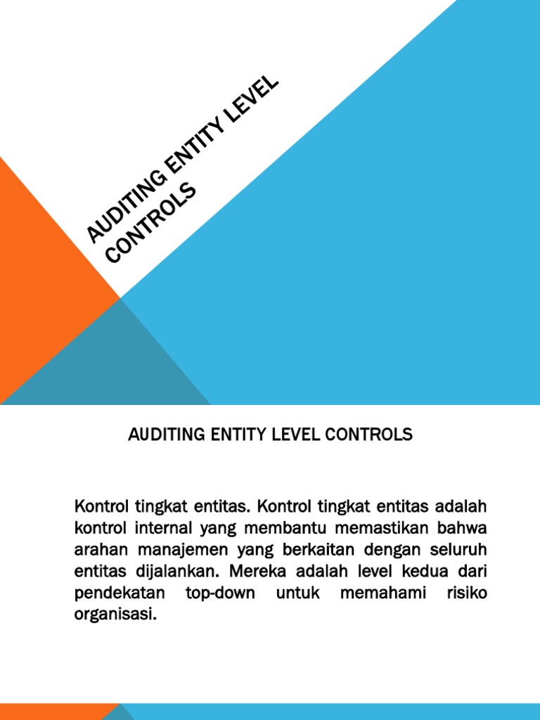 Auditing Entity Level Controls