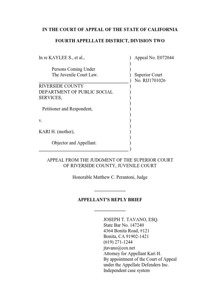 Hitt Reply Brief PDF | PDF | Appeal | Substance Abuse