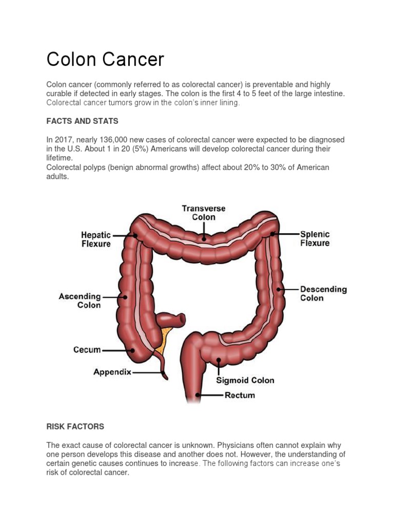 Colon Cancer | PDF | Colorectal Cancer | Colonoscopy