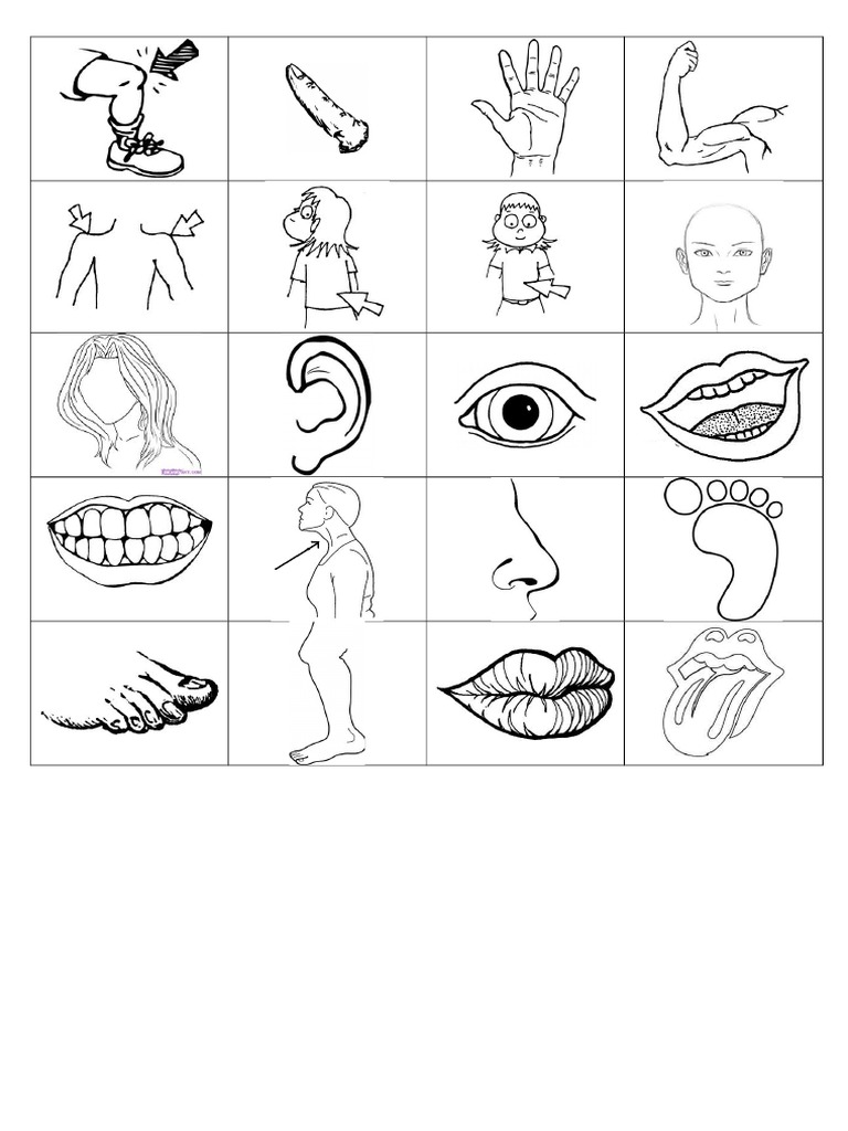 Memory Game On Body Parts Flashcards Games 40300 | PDF