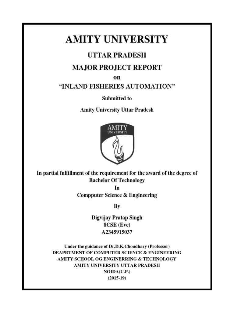 Amity University: Uttar Pradesh Major Project Report On | PDF | Career ...