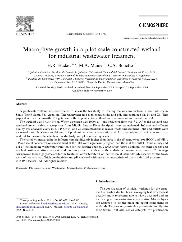 Macrophyte Growth in A Pilot-Scale Const PDF | PDF | Wetland | Magnesium