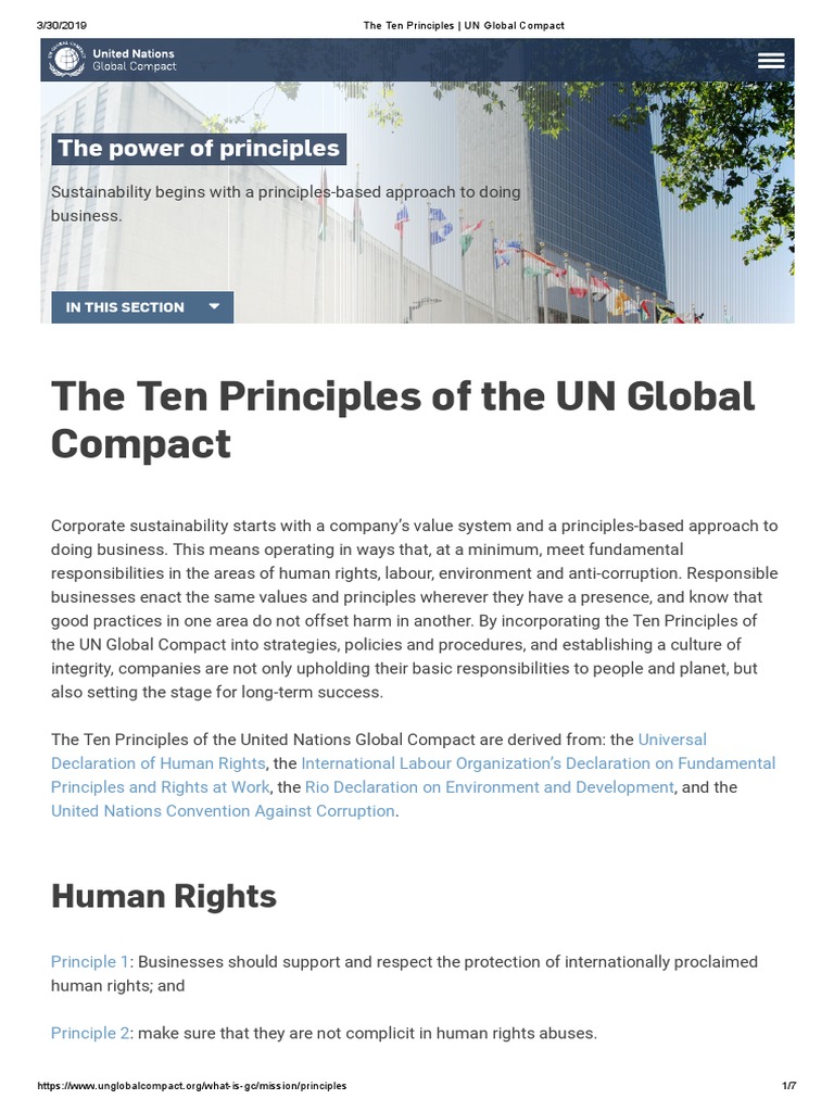 Ten Principles of UN Global Compact | Download Free PDF | Human Rights ...