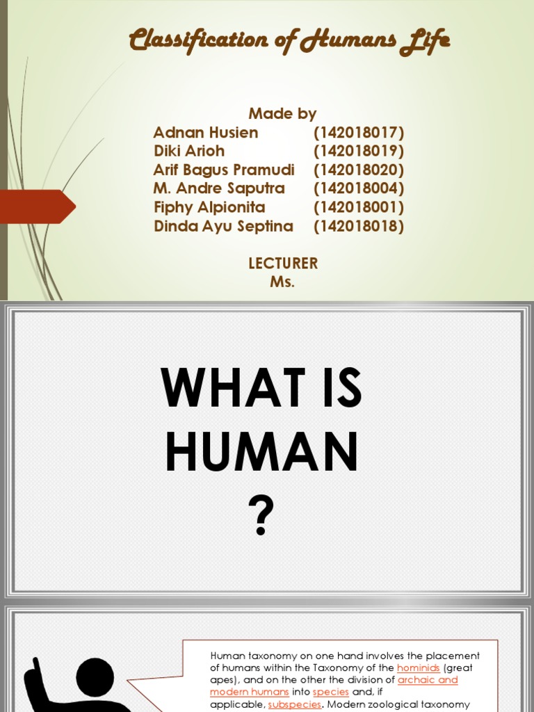 Classification of Humans Life | PDF | Pliocene | Evolution Of Primates