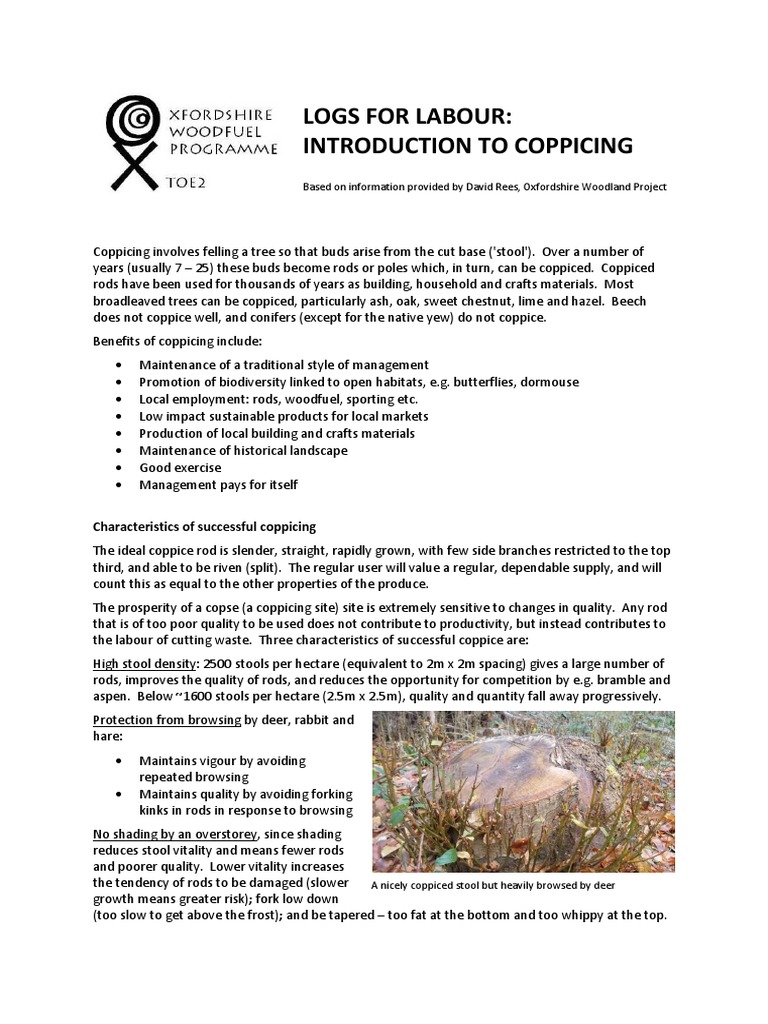 Intro To Coppicing | PDF | Horticulture And Gardening | Plant Life Form