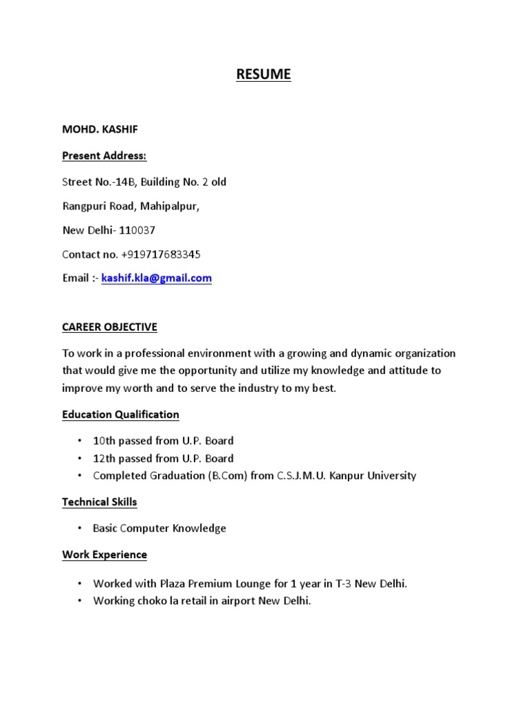 Mohd Kashif's Professional Resume | PDF