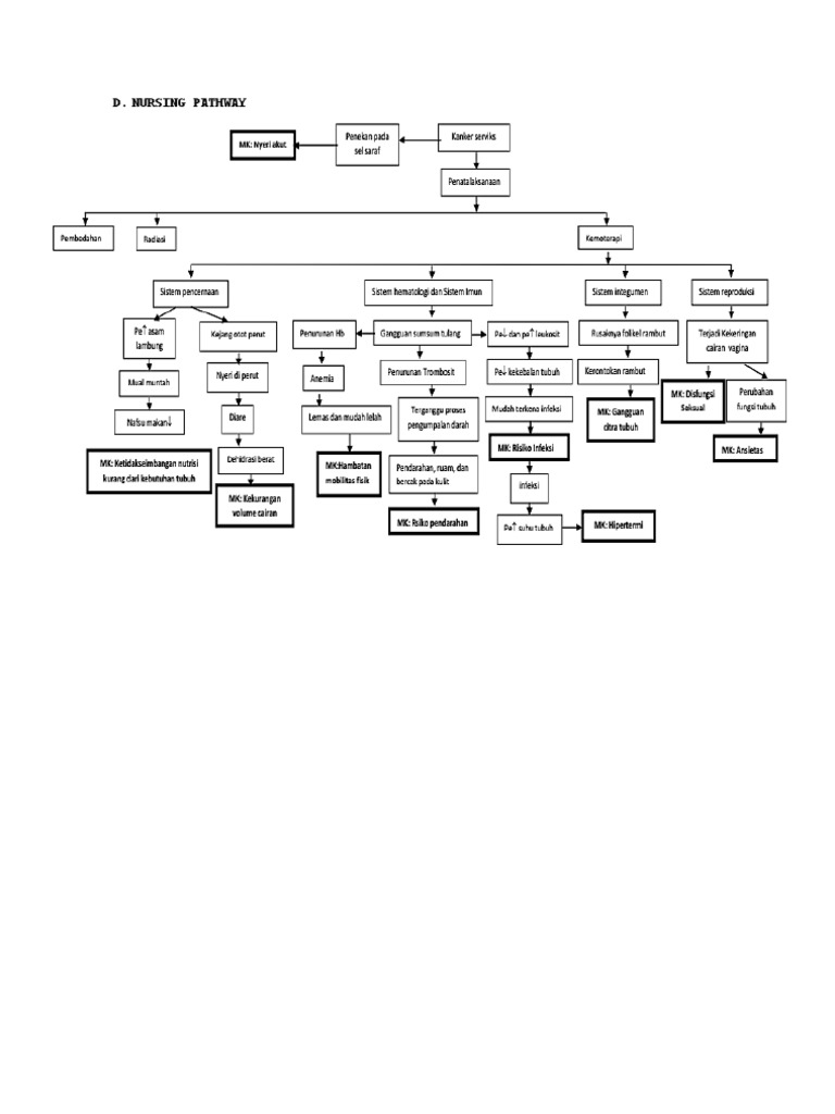 Nursing Pathway | PDF
