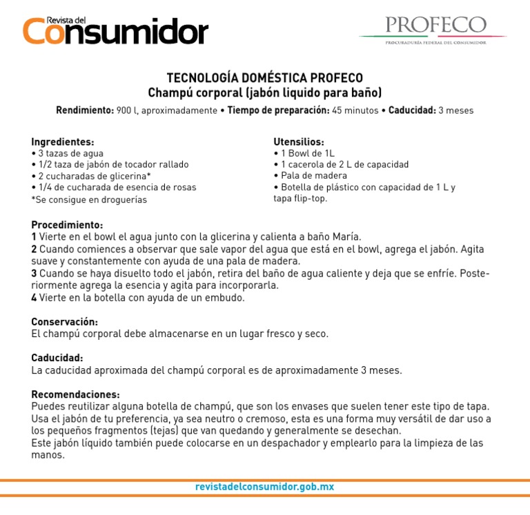 Champú Casero: Guía y Consejos | PDF | Cocina, comidas y vino ...