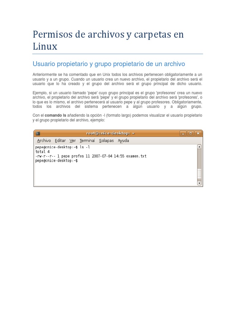 Permisos De Archivos Y Carpetas En Linux Pdf Archivo De Computadora
