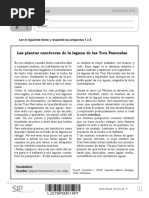 Cuadernillo de Comprension Lectora 7mo | PDF