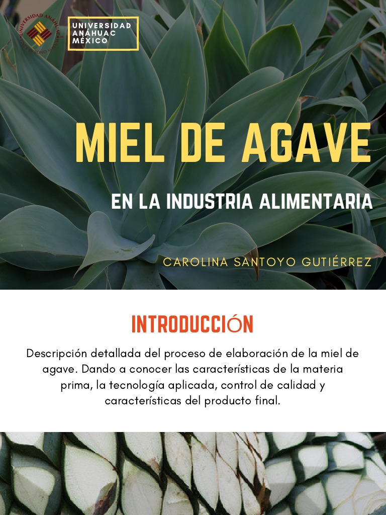 miel de agave (1).pdf | Alimentos | Naturaleza