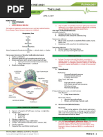 Concept Map Sample | PDF | Inflammation | Clinical Medicine