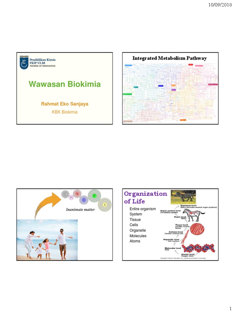 Konsep Dasar Biokimia | PDF | Biochemistry | Chemistry