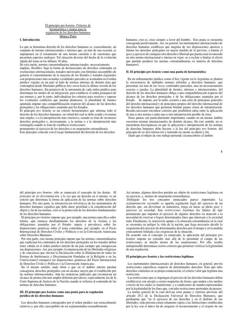 El Principio Pro Homine. Mónica Pinto | PDF | Derechos humanos | Derechos