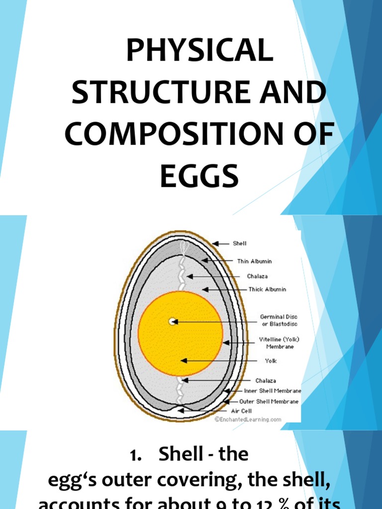 physical-structure-and-composition-of-eggs-pdf