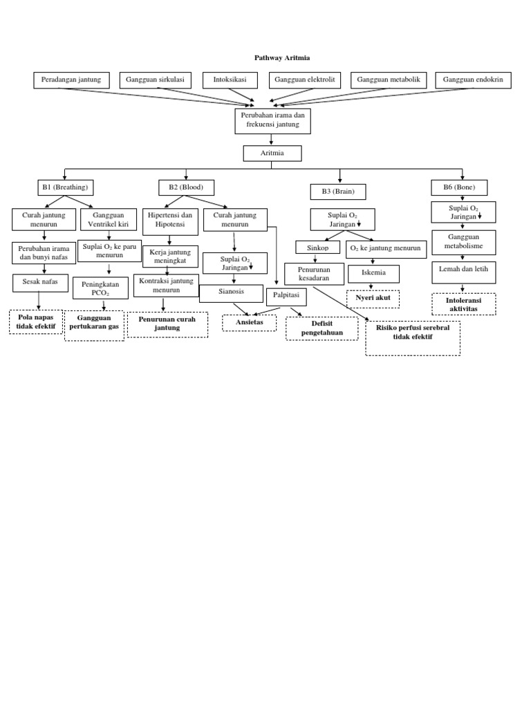 Pathway Aritmia | PDF