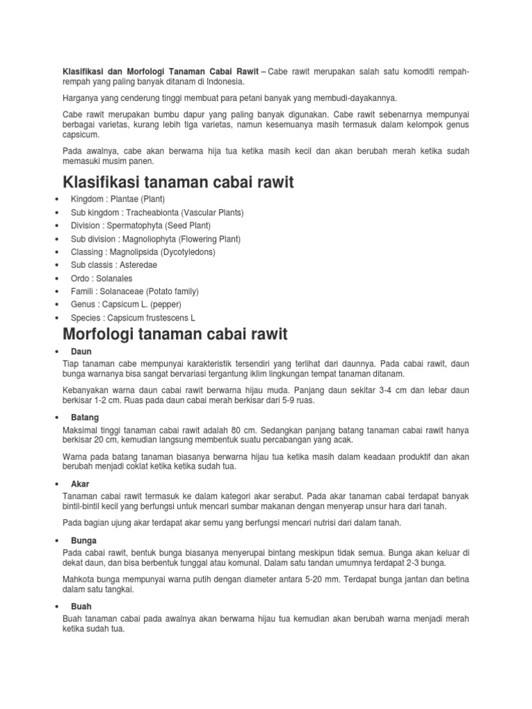 Klasifikasi dan Morfologi Tanaman Cabai | PDF