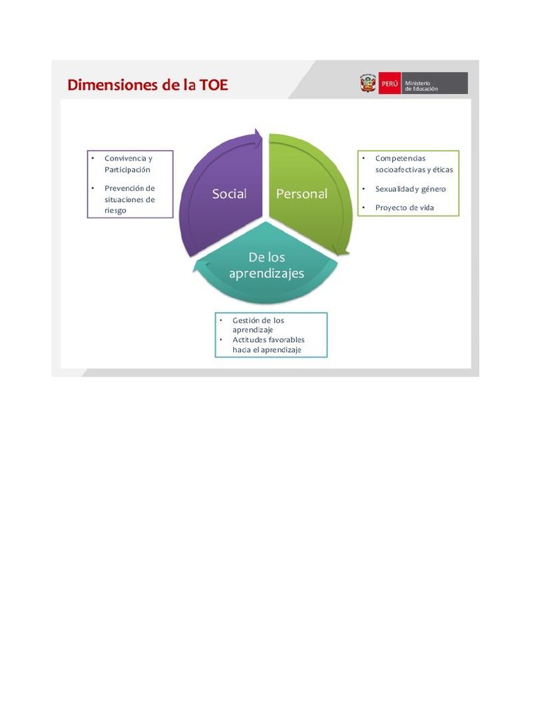 Dimensiones de TOE | PDF
