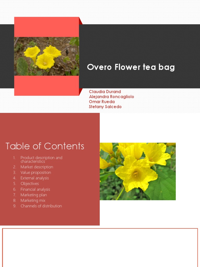 Overo Flower Tea | PDF | Retail | Marketing
