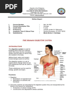 Toad Dissection Guide | PDF