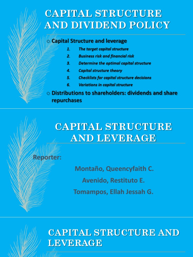 Capital Structure and Leverage | PDF | Capital Structure | Financial Capital