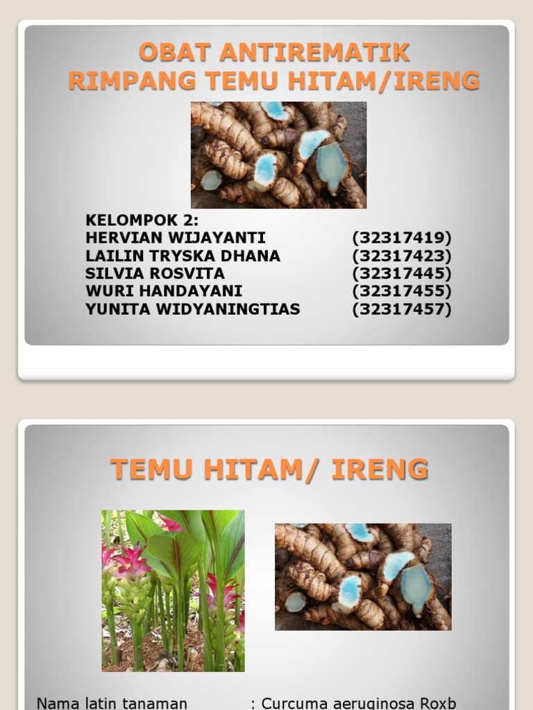 Temu Ireng | PDF
