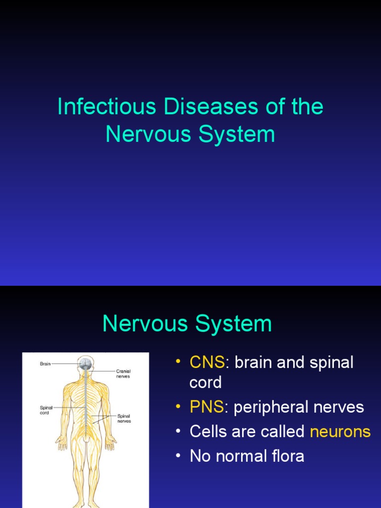 Infectious Diseases of The Nervous System | PDF | Streptococcus | Rabies