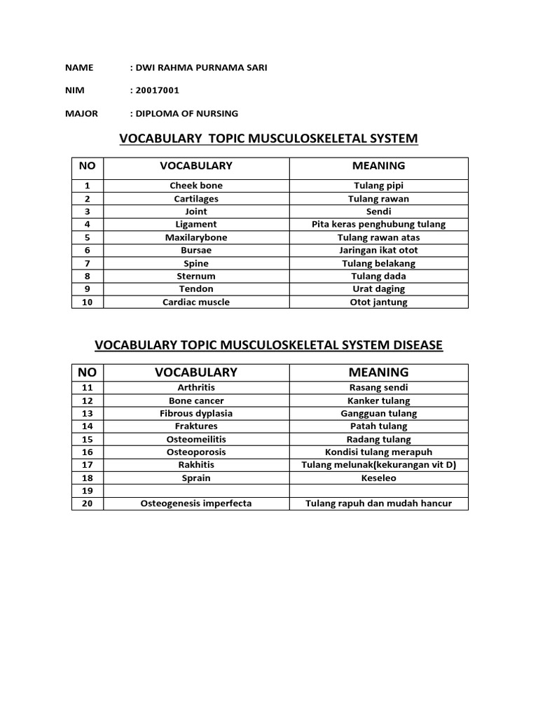 Vocabulary Topic Musculoskeletal System | PDF